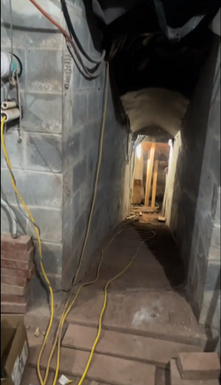 Kala "Tunnel Girl" / Pranavi Kalavathamma Lorei / Jacob Thomas Lorei ...