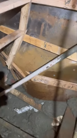 Kala "Tunnel Girl" / Pranavi Kalavathamma Lorei / Jacob Thomas Lorei ...