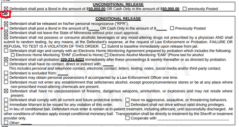 State of Minnesota v. Nicholas Rekieta, Kayla Rekieta, April Imholte ...
