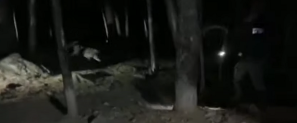 The Thorp Family / The Thorps / Grace Thorp / @gracemthorp / Ben ...