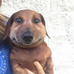 Francis Joseph Benditt IV / fallenchungus / datsmojo / Mojo / thatsmojo ...