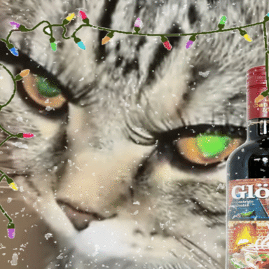 Eatdatpussy445 / EDP445 / Bryant Moreland / Deyione Scott-Wilson Eason ...