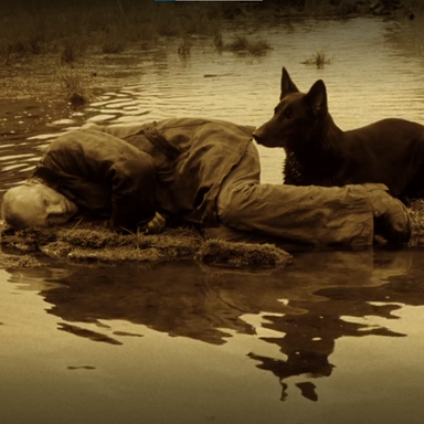 Godwinson / Adam Edge (plus the "writer's room" Discord) | Page 356 ...