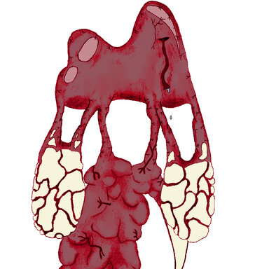 Nick Bate / Nickalaus B. Stoutzenberger | Page 128 | Kiwi Farms